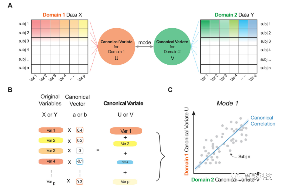 在高维数据中寻找价值线索：神经科学家的典型相关分析（CCA)_调研一种pca的扩展方法-CSDN博客