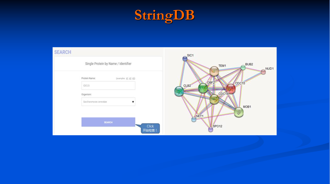 手把手教你0基础进阶蛋白生信分析，全5节系列课程，有代码有视频-CSDN博客