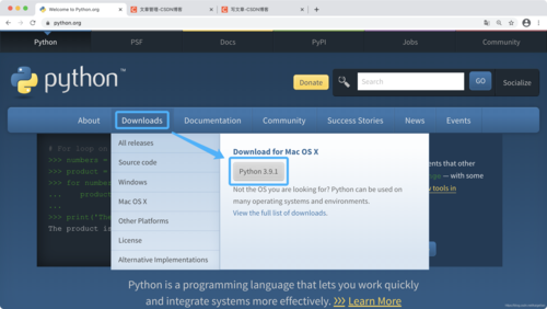 python官方网站下载教程,在python官网下载python3.7_python下载官网-CSDN博客