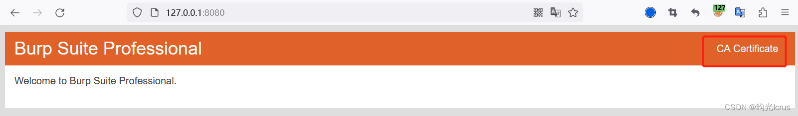 burpsuite无法抓取安卓9以上的app数据包问题_burpsuite抓不到app包-CSDN博客