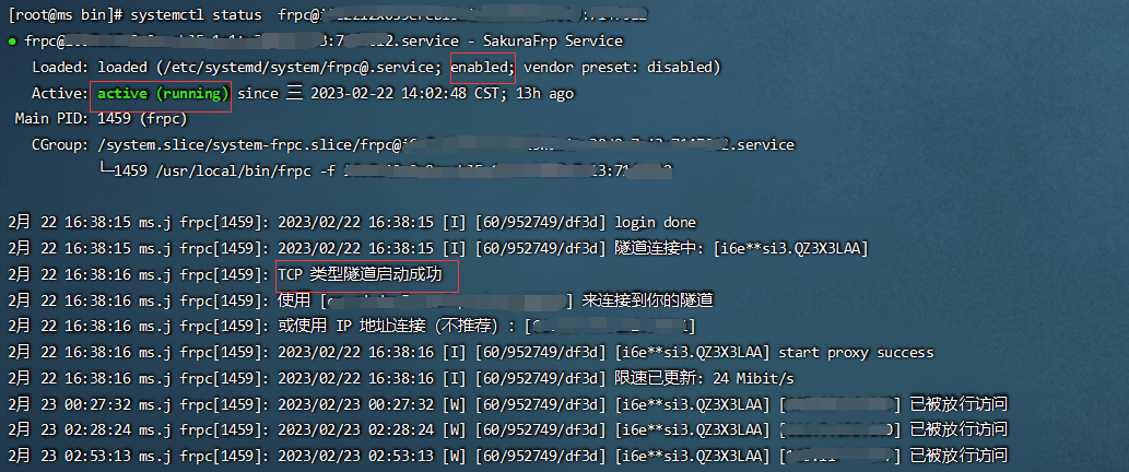 搭建 linux + nginx + node + vue3 + mysql 个人博客 - 服务器篇（二）_sakurafrp vue-CSDN博客