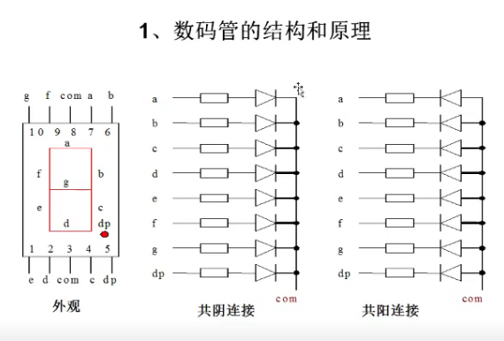 数码管的静态显示数码管静态显示 Csdn博客