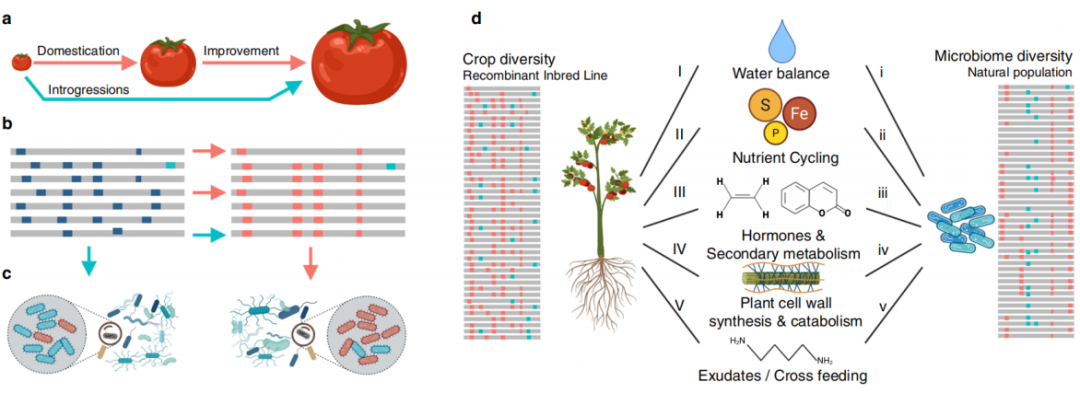 宿主基因组-微生物关联（mGWAS）新思路！-CSDN博客