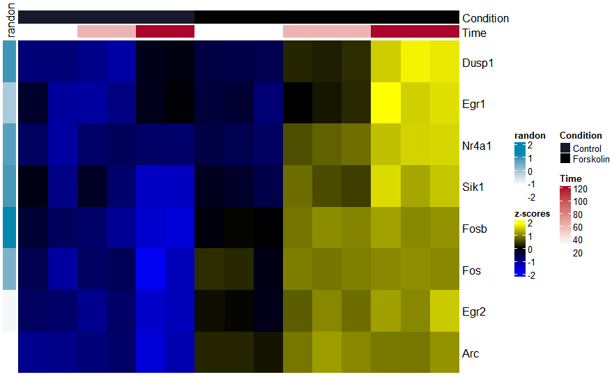 sechm包：简化 ComplexHeatmap 热图的绘制-CSDN博客