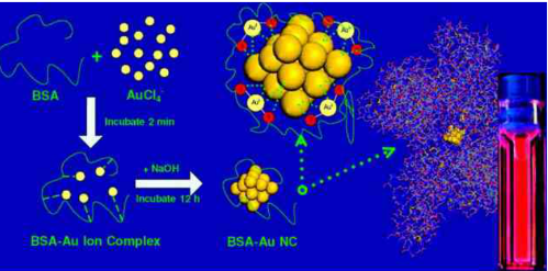 球状GNP-BSA 纳米金包裹牛血清蛋白，金纳米团簇BSA-AuNCs_bsa@auncs用什么调ph-CSDN博客