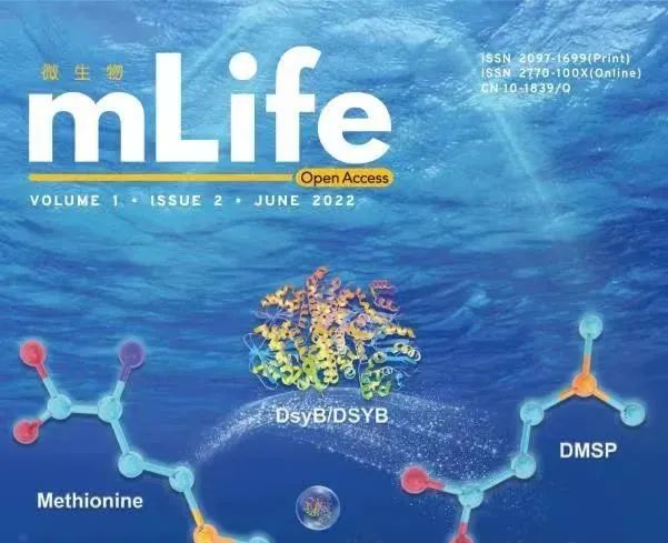 mLife | 底物特性调控代谢分工群落构建的定量预测原理-CSDN博客