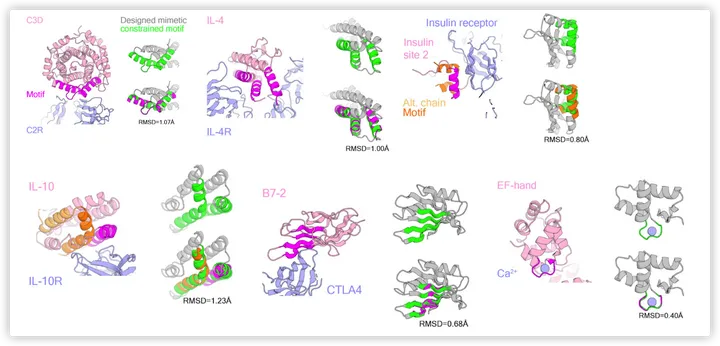RFDesign: de novo protein design的破局者_rfjoint-CSDN博客