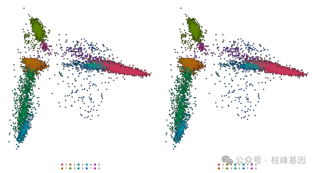 SCS【39】单细胞转录组之降维散点图的美化 (SCpubr)-CSDN博客