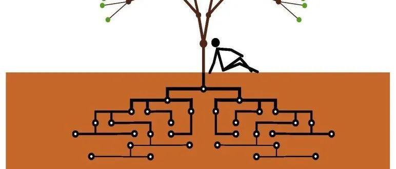 Vitis HLS简介-CSDN博客