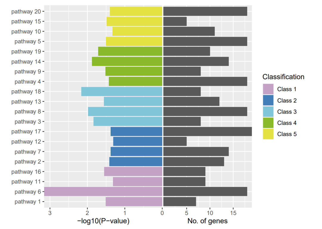 这图怎么画| 富集分析之双向柱状图-CSDN博客