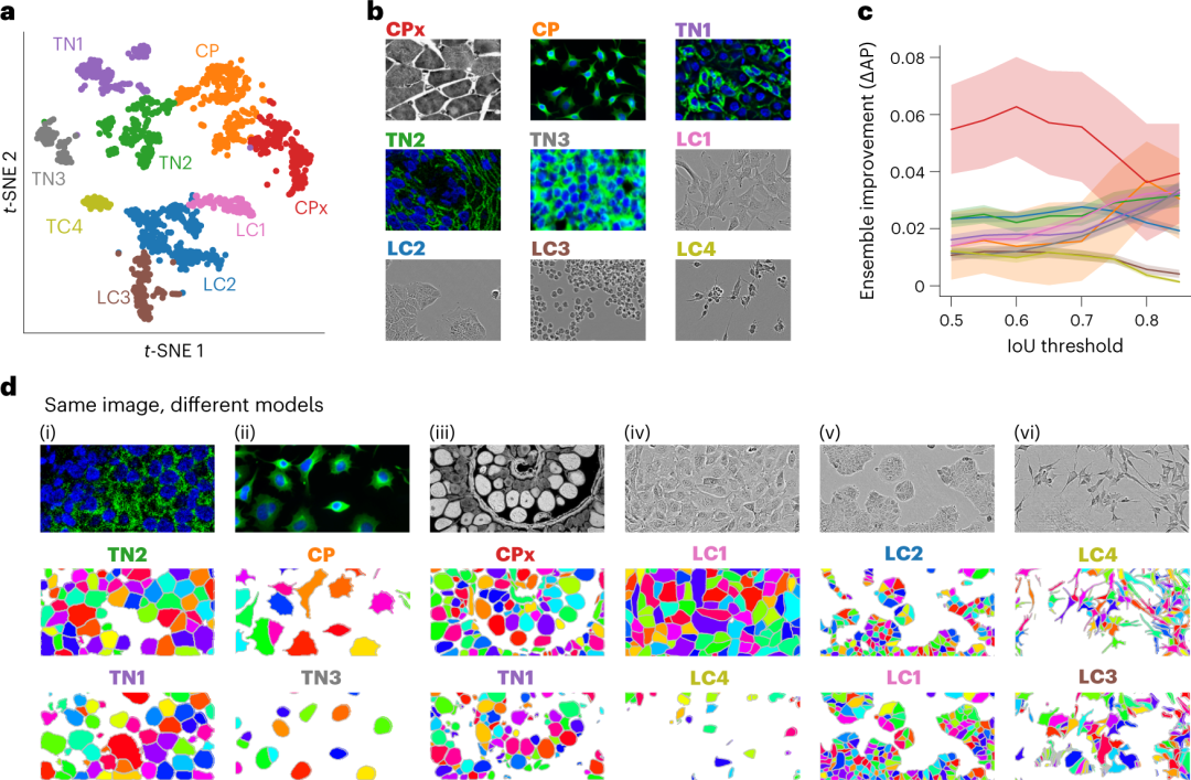 Nature Methods| Cellpose 2.0：如何训练你自己的模型？-CSDN博客