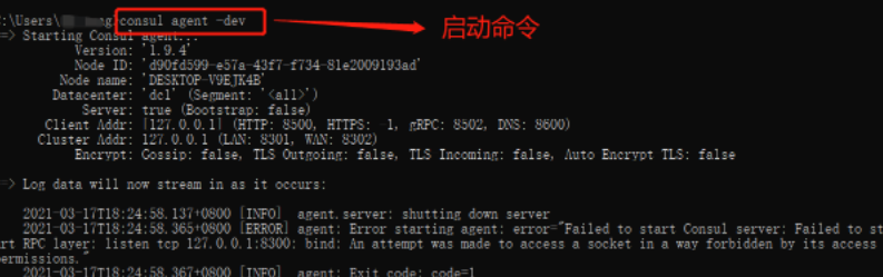 Consul注册中心(docker和windows启动)_consul windosw注册中心-CSDN博客