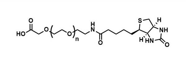 AA-PEG-Biotin，可应用于分子靶标检测，乙酸聚乙二醇生物素，Biotin-PEG-AA-CSDN博客
