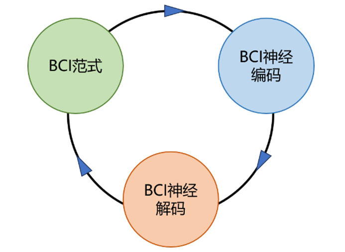 脑-机接口（BCI）的科学原理——杨帮华教授评论文“BCI范式与神经编码”-CSDN博客