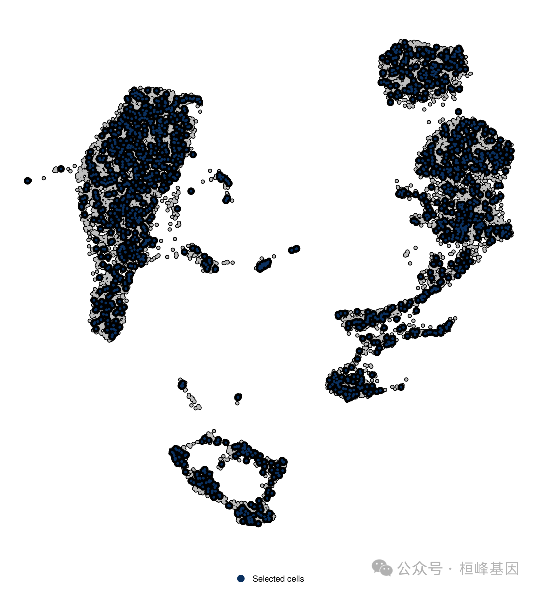 SCS【39】单细胞转录组之降维散点图的美化 (SCpubr)-CSDN博客