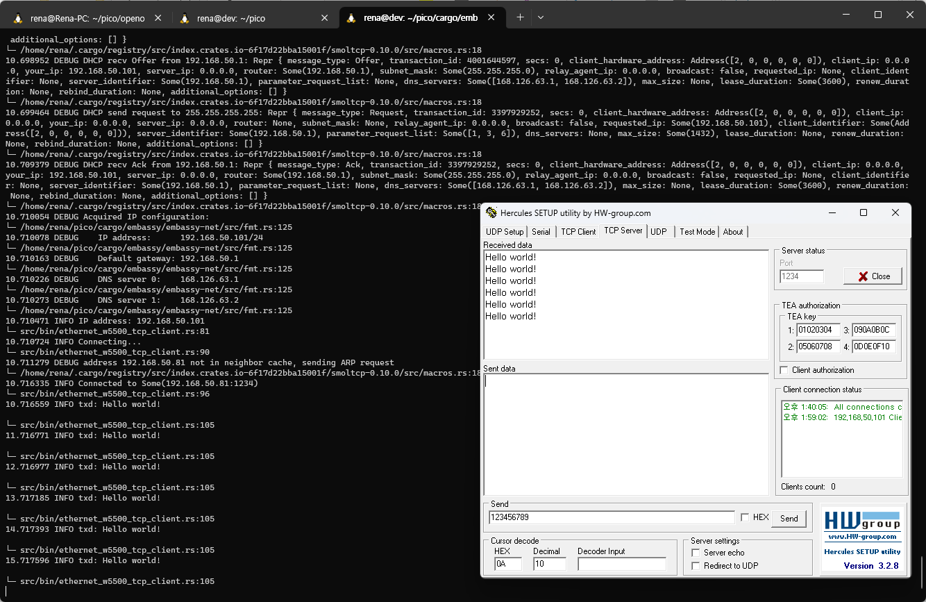 W5500-EVB-Pico（与大使馆）中基于 Rust 的 TCP 套接字通信_embassy-rs-CSDN博客