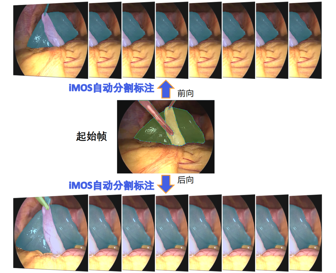 标注神器！Pair软件推出动态目标分割标注智能功能iMOS-CSDN博客