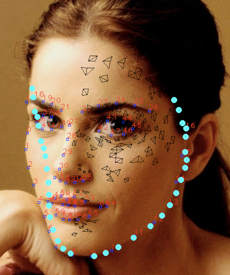 3DMM之EOS 原理解析_4d face model 使用-CSDN博客