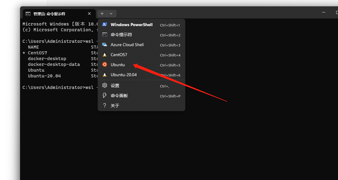 Windows WSL操作 Linux系统_wsl运行linux-CSDN博客