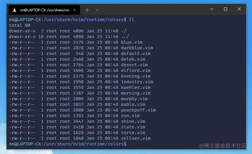 Neovim 配置实战：从0到1打造自己的IDE]_neovim 配置实战:从0到1打造自己的ide-CSDN博客