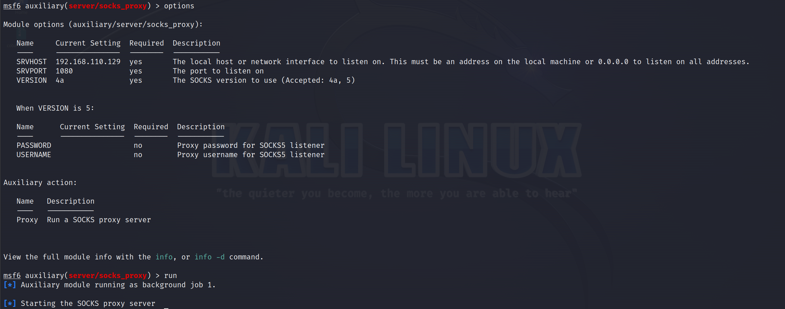 【渗透测试】socks代理打穿内网_kali socks代理-CSDN博客