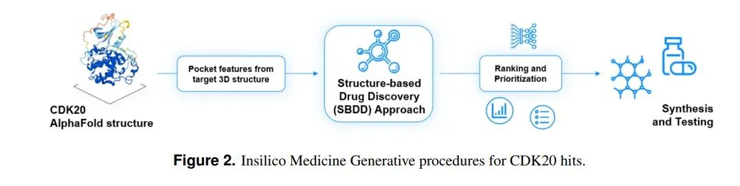 AlphaFold蛋白质结构预测协助发现首个CDK20的小分子抑制剂_预测蛋白与小分子作用靶点-CSDN博客
