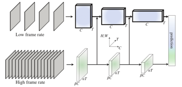 SlowFast论文翻译+解读-CSDN博客