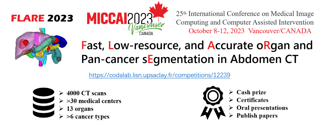 MICCAI 2023 FLARE国际竞赛来了！打造腹部泛癌CT分割Foundation Models-CSDN博客