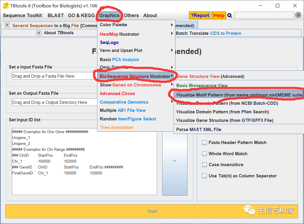 TBtools | 基因家族分析 (进化树、Motifs、结构域)-CSDN博客