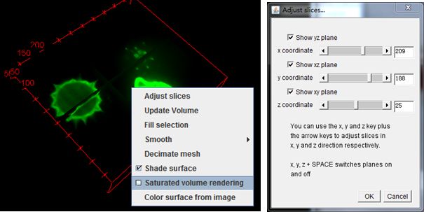 显示三维图片序列_老司机带你解锁ImageJ三维图像分析-CSDN博客
