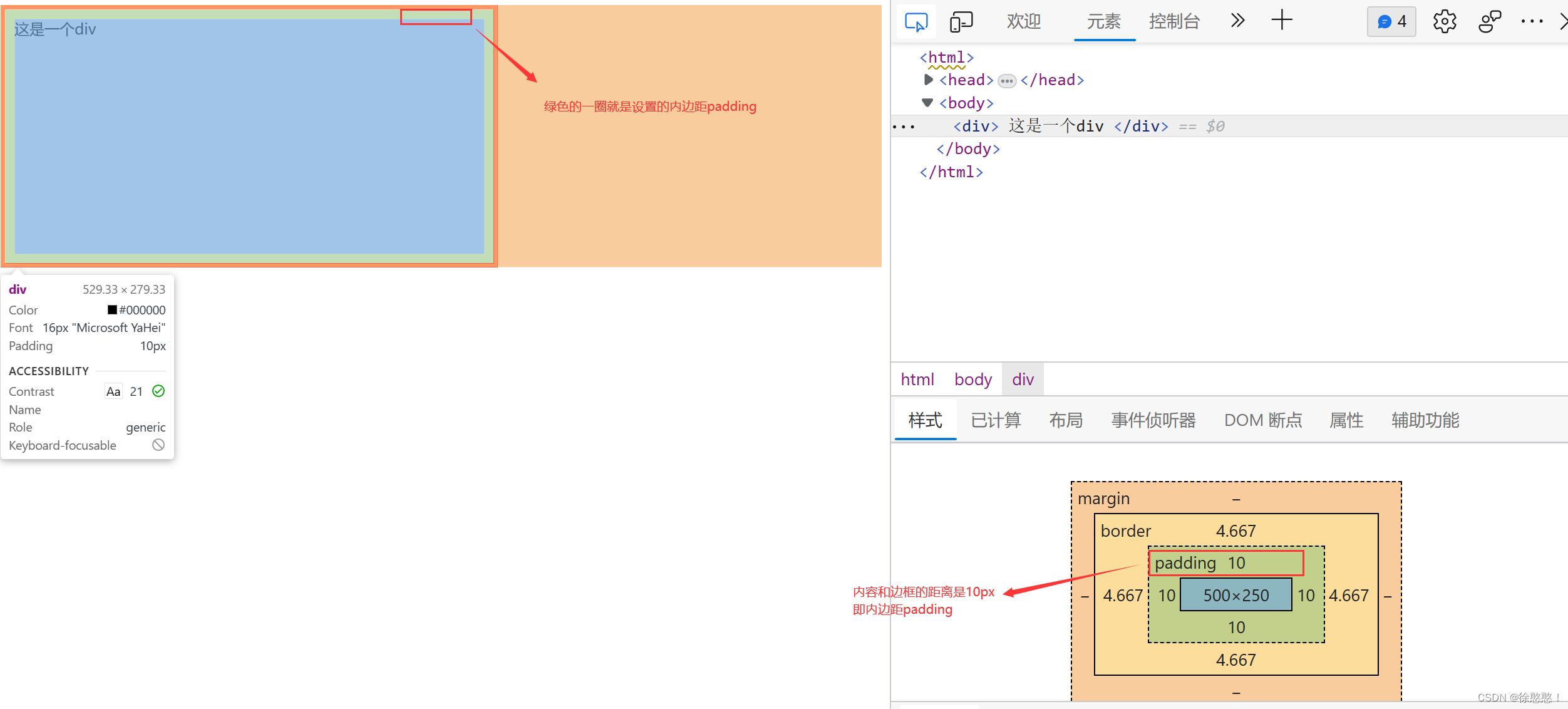 Css盒子模型及弹性布局详解 Csdn博客 