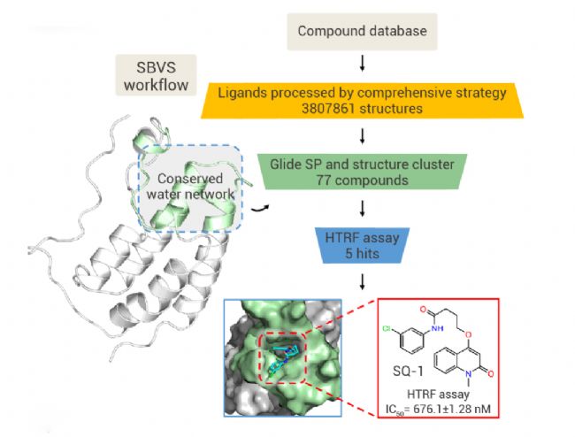 药物设计怎么做 - MedChemExpress（MCE）-CSDN博客