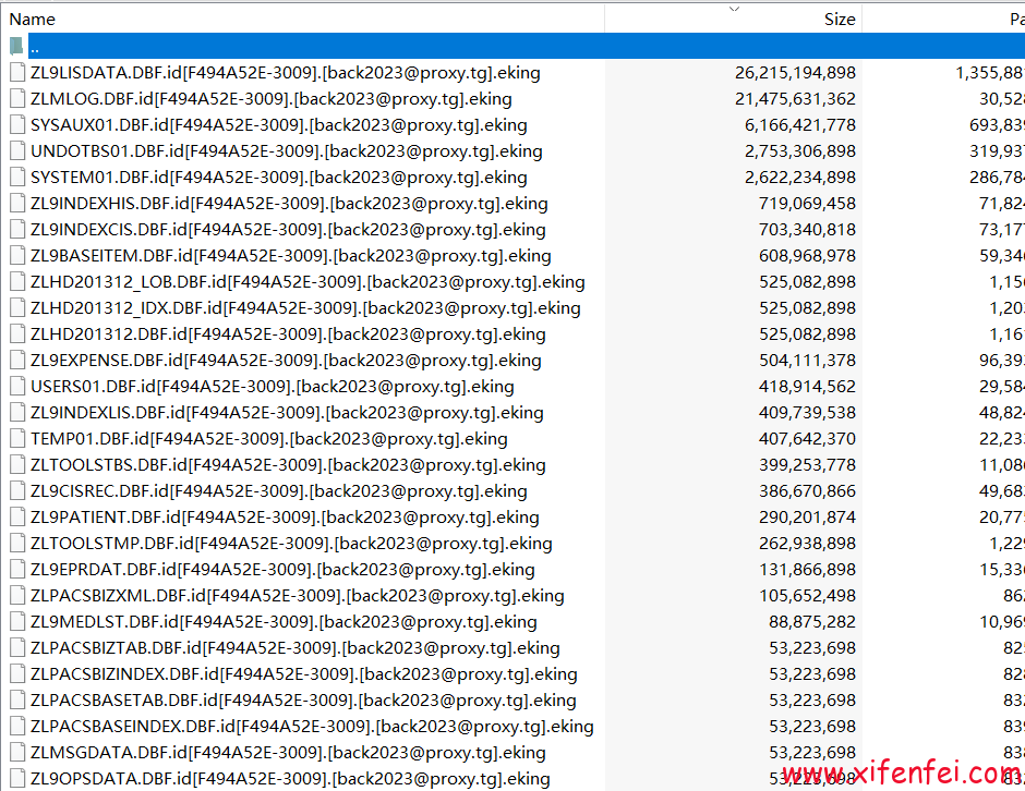 Back2023proxytg Eking勒索数据库恢复 惜分飞 Bkpsvrproxytg Faust Csdn博客