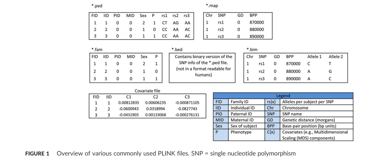 GWAS分析教程 | 一篇教程可以发3区SCI_如何从文章中获取gwas-CSDN博客