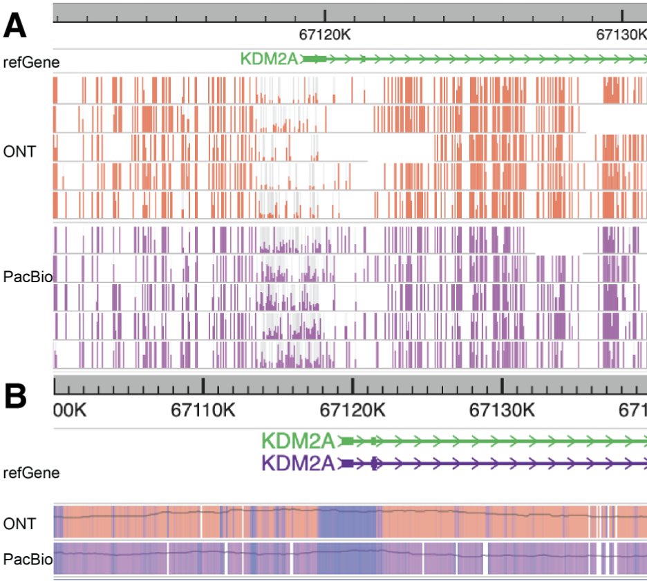 恭喜道丰兄！Cell子刊 | WashU Epigenome Browser：单分子/长读长测序数据碱基修饰的可视化...-CSDN博客