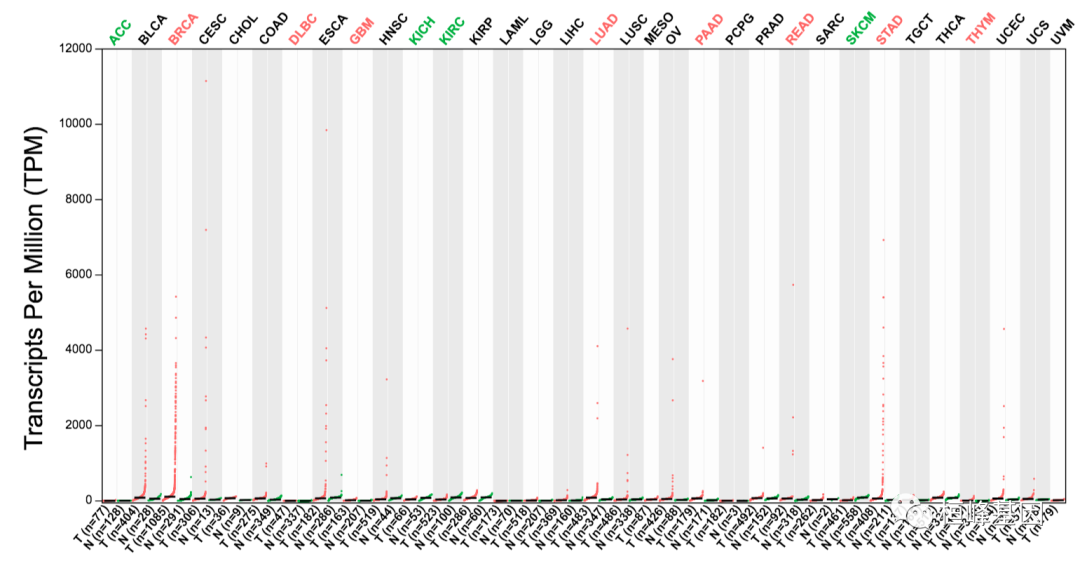 RNA 30. SCI文章中基于TCGA和GTEx数据挖掘神器（GEPIA2）-CSDN博客