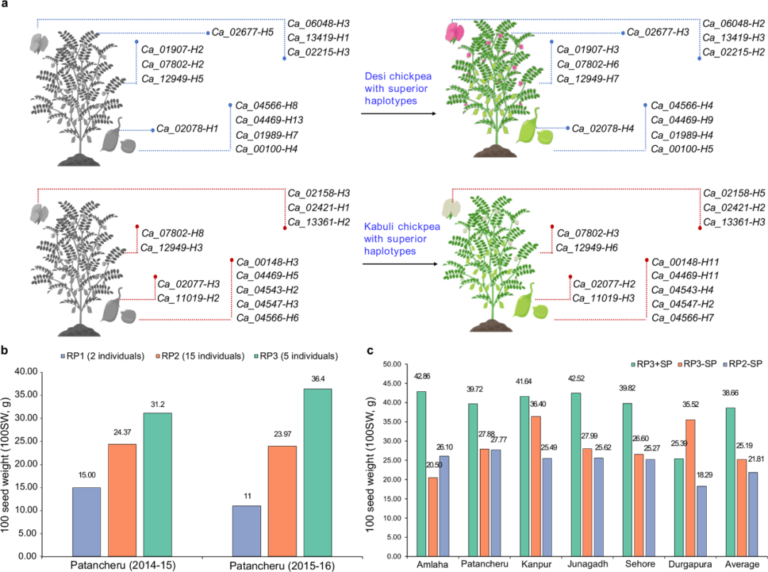 超1200张！《Nature》高清论文插图集下载_nature论文插图-CSDN博客