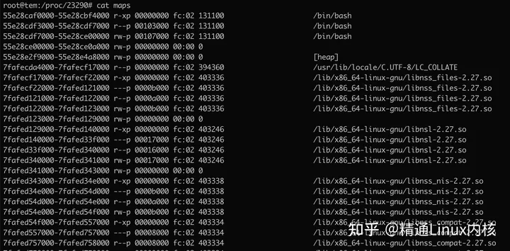 Linux内核：进程管理——进程文件系统 /proc详解_linux proc stat文件_Linux加油站的博客-CSDN博客