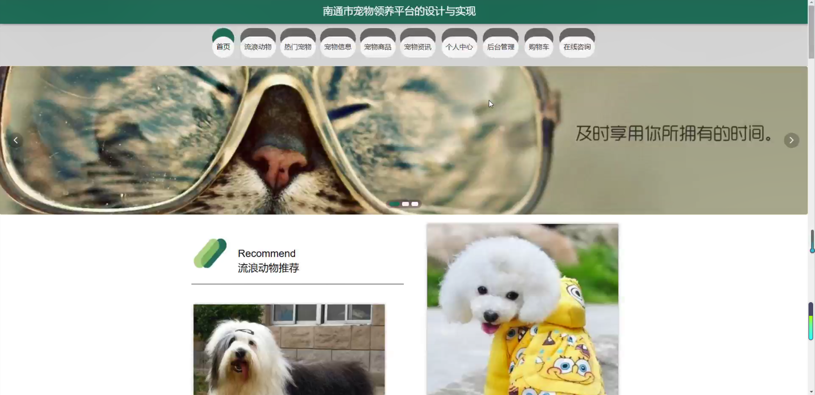 Jspssm计算机毕业设计南通市宠物领养平台的设计与实现9c15r【源码、数据库、lw、部署】 Csdn博客