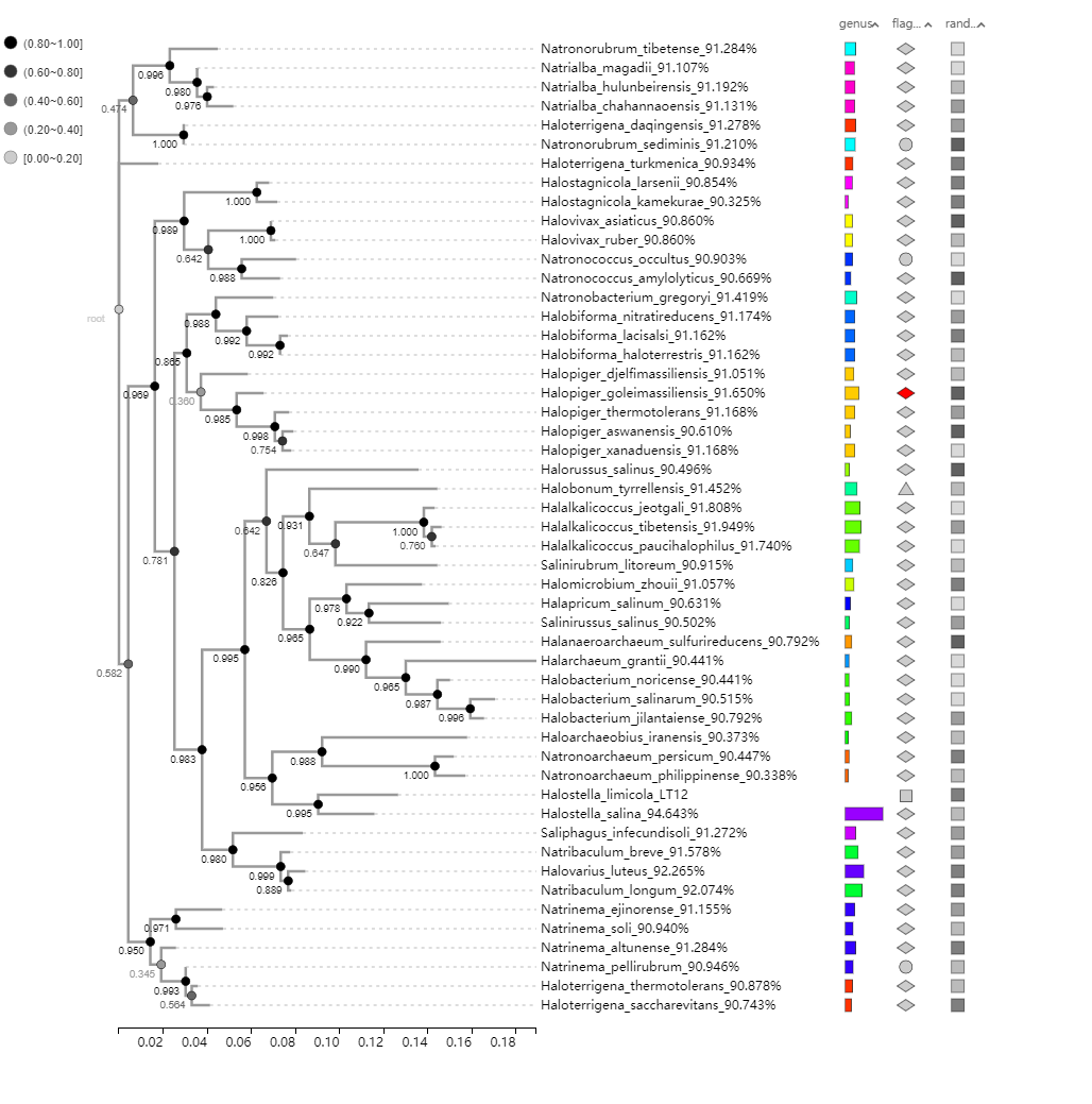 基于 phylotree.js 基因进化树可视化图谱（gene-tree）-CSDN博客
