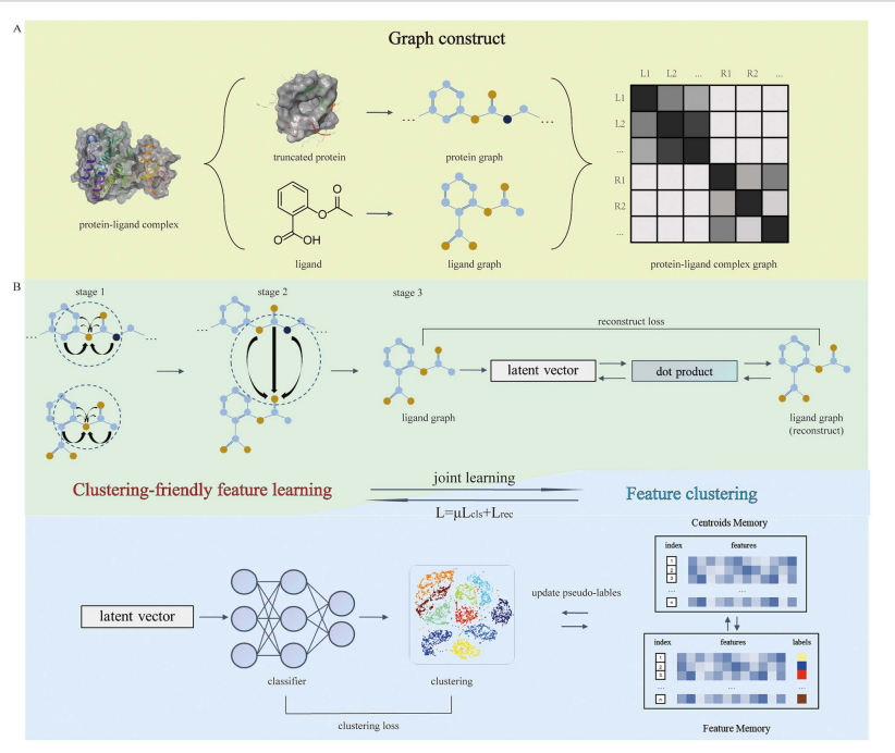 学术速运|浙大董晓武课题组-ClusterX：一种新的基于表示学习的深度聚类框架，用于虚拟筛选中精确的可视化检查-CSDN博客