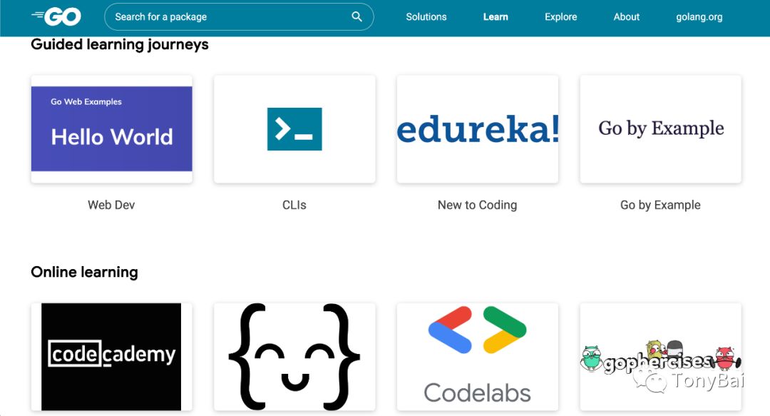 Go官方发布的go.dev给gopher们带来了什么-CSDN博客