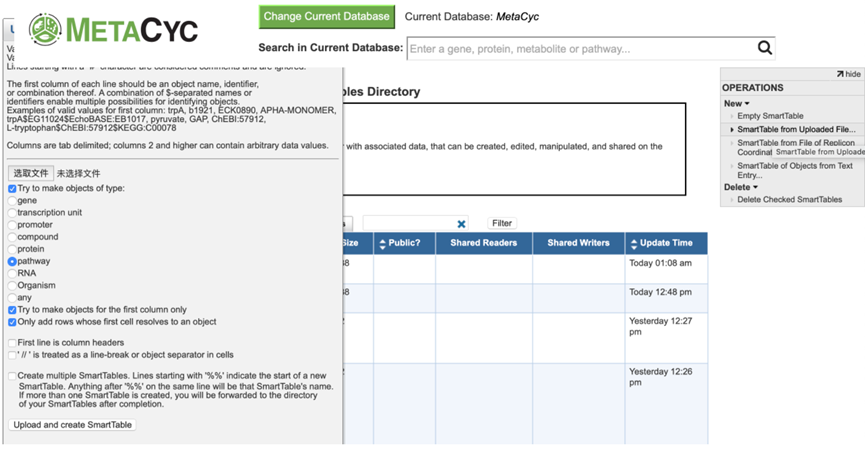 QIIME2得到PICRUSt2结果后如何分析-CSDN博客