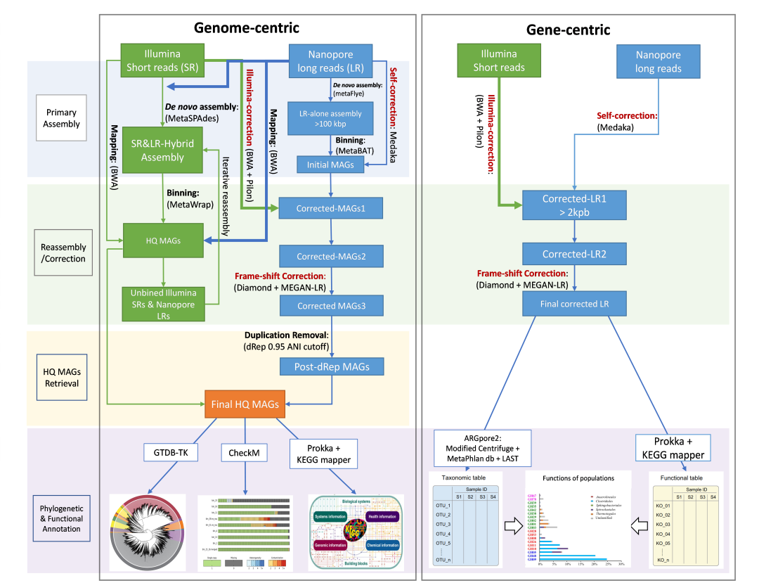 iMeta | 南科大夏雨等综述二三代宏基因组分析的策略和工具(Illumina & Nanopore)-CSDN博客
