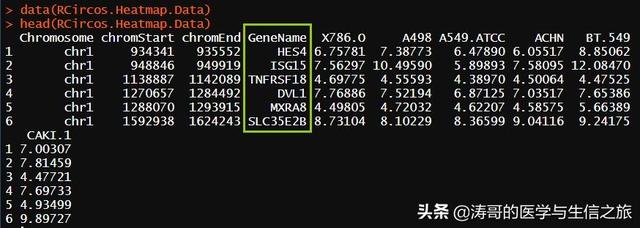 贝塞尔包_涛哥文章系列（24）：使用RCircos包-CSDN博客