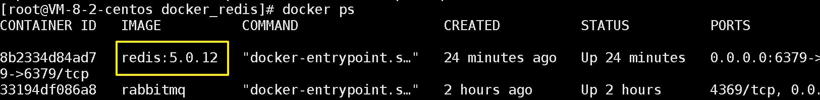 Docker 安装 Redis 5 0 12，详细步骤 Docker Run部署5 0 12redis并配置密码 使用配置文件挂载 Csdn博客