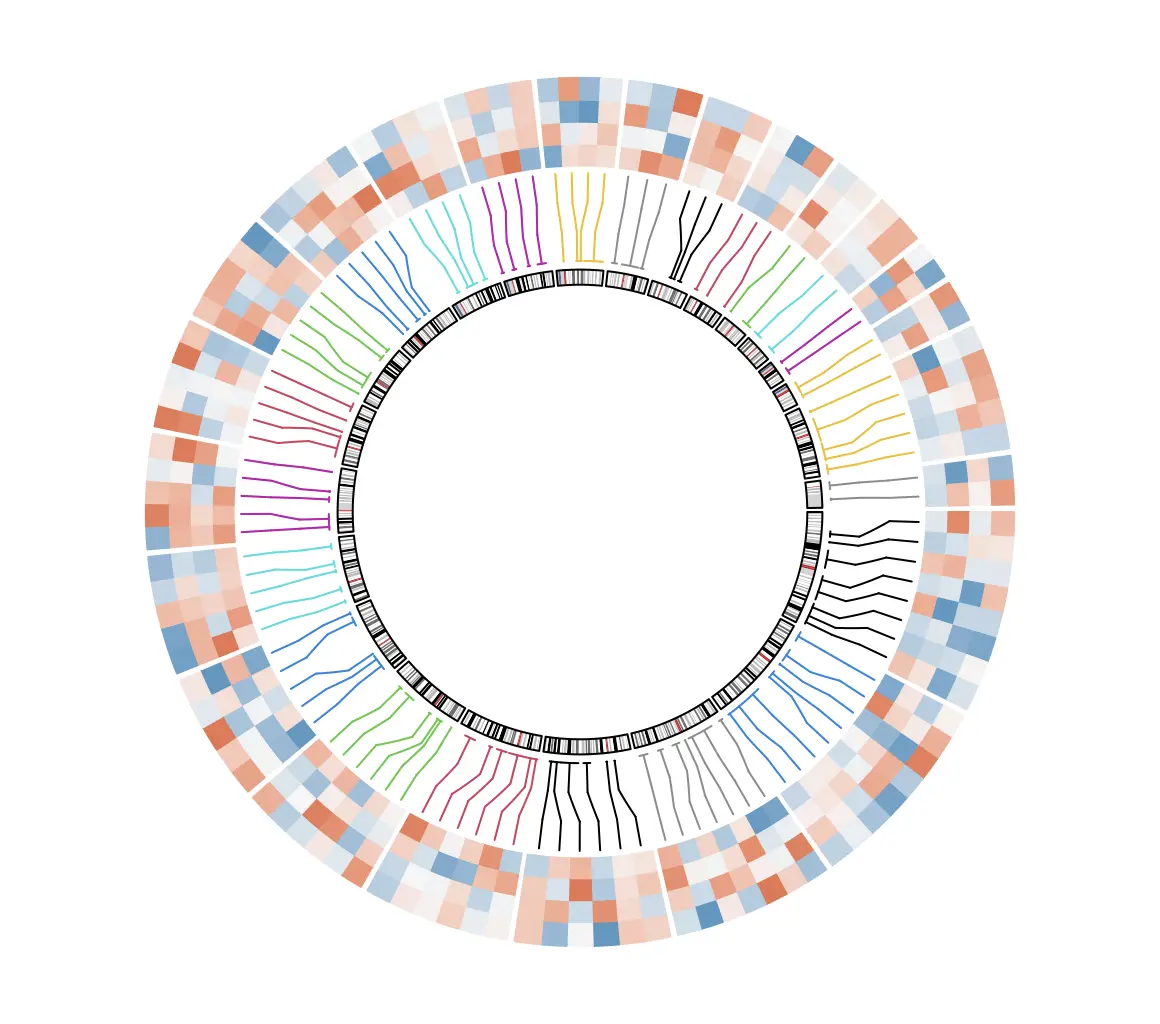 R 数据可视化 —— circlize 基因组高级绘图_使用r进行全基因组circos图-CSDN博客