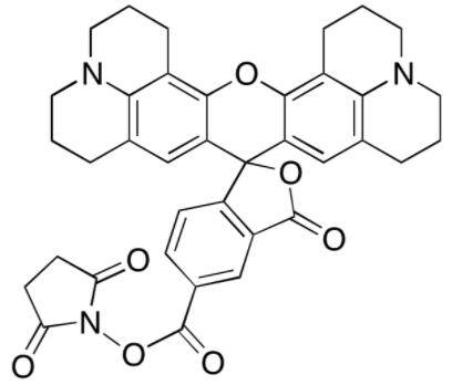 5-ROX,SE，209734-74-7，ROX NHS ester, 5-isomer，5-ROX-琥珀酰亚胺酯，用作胺偶联剂，344402 ...